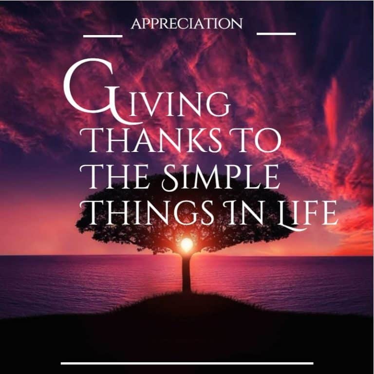 APPRECIATION~Giving Thanks to the Simple Things In Life - Health and ...